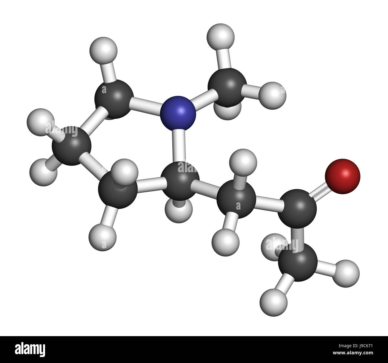 Hygrine coca alkaloid molecule. 3D rendering. Atoms are represented as ...