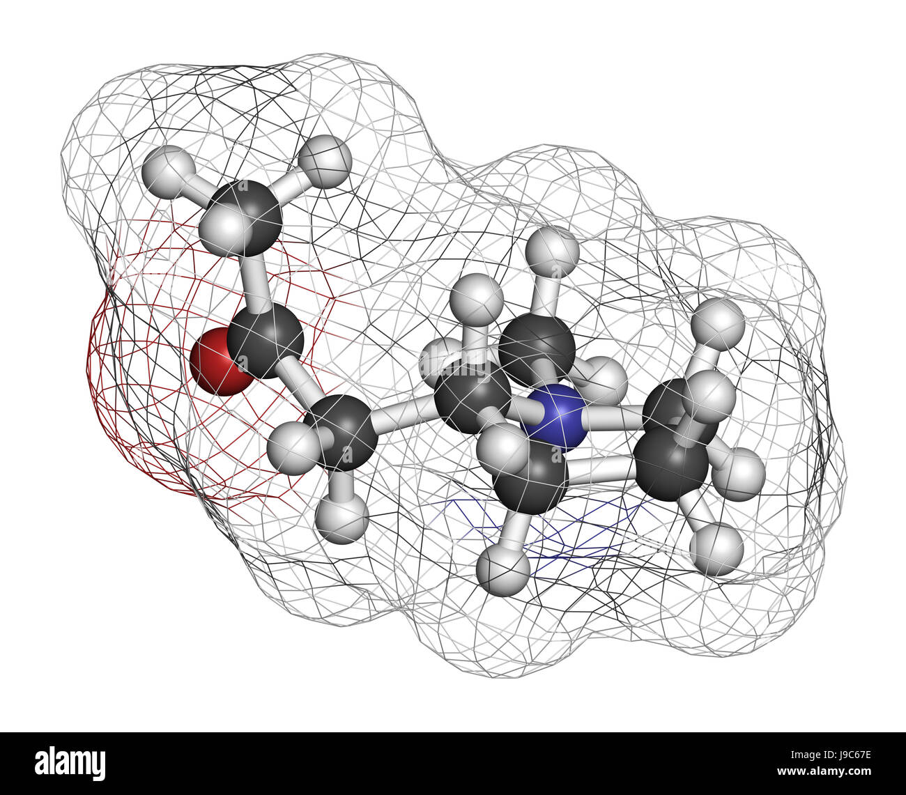 Hygrine coca alkaloid molecule. 3D rendering. Atoms are represented as ...