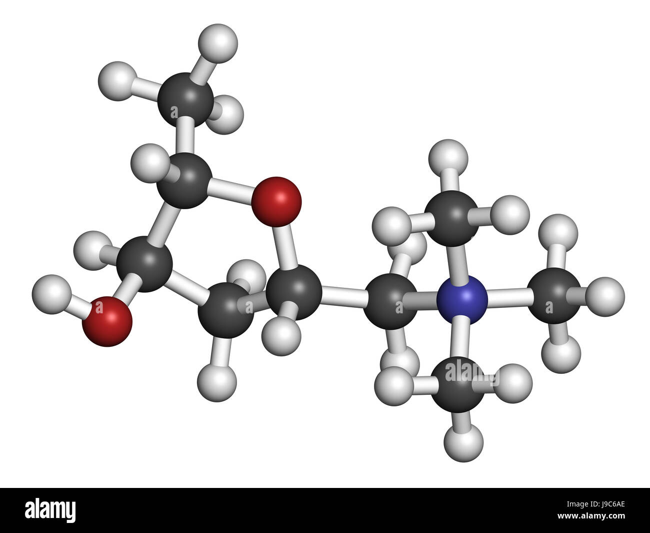 Muscarine mushroom toxin molecule. Agonist of the muscarinic ...
