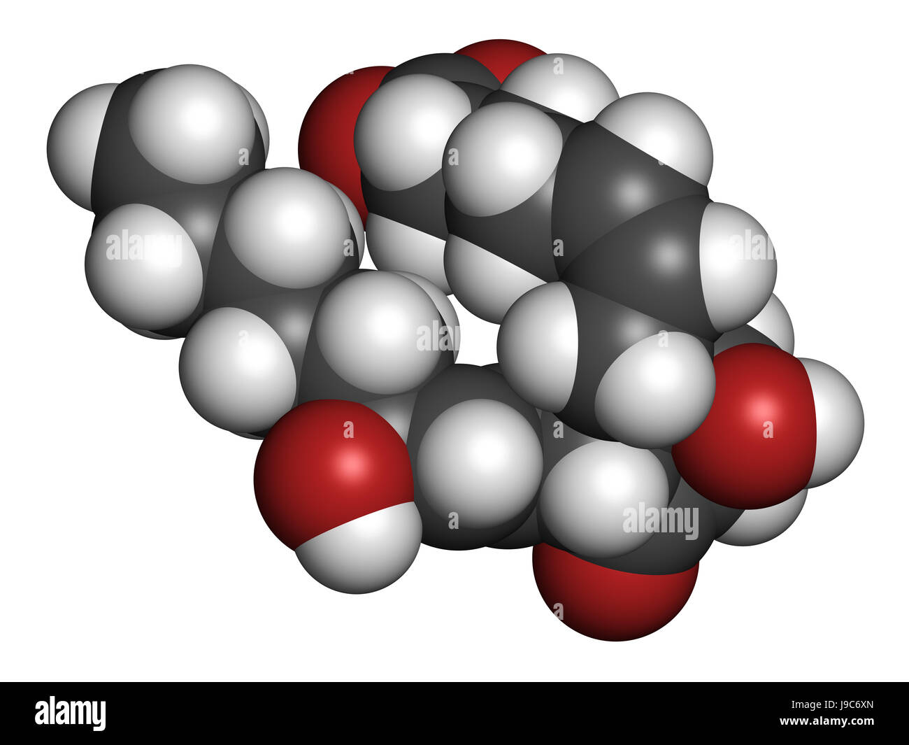 Prostaglandin D2 (PGD2) molecule. 3D rendering. Atoms are represented ...
