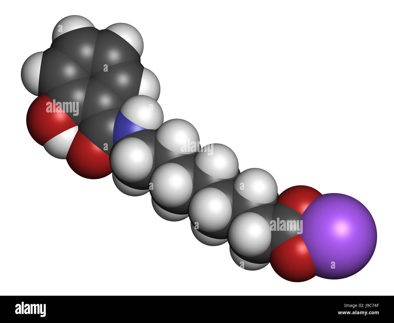 Caprylate hi-res stock photography and images - Alamy
