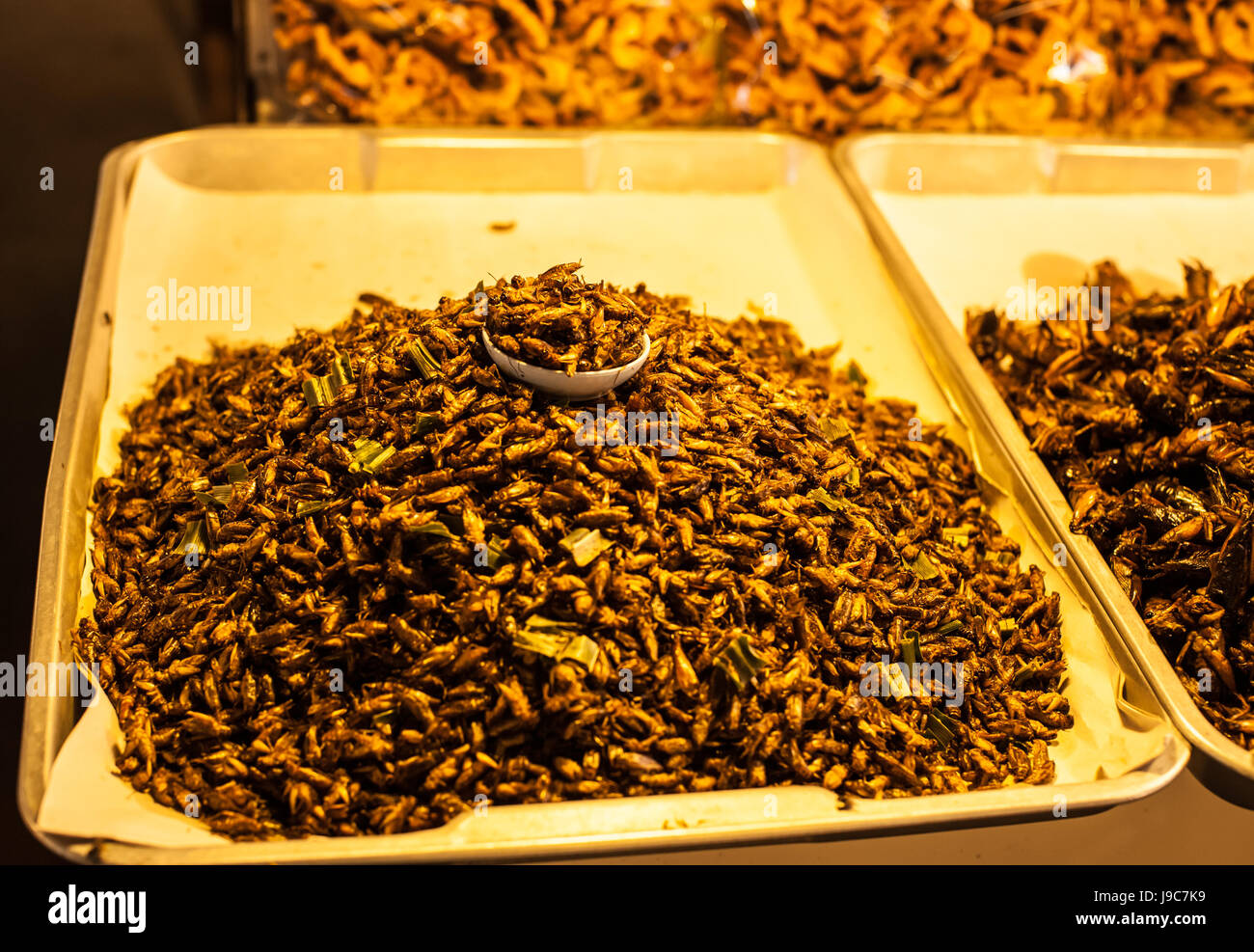 Crispy fried insects are regional delicacies in many Asian countries ...