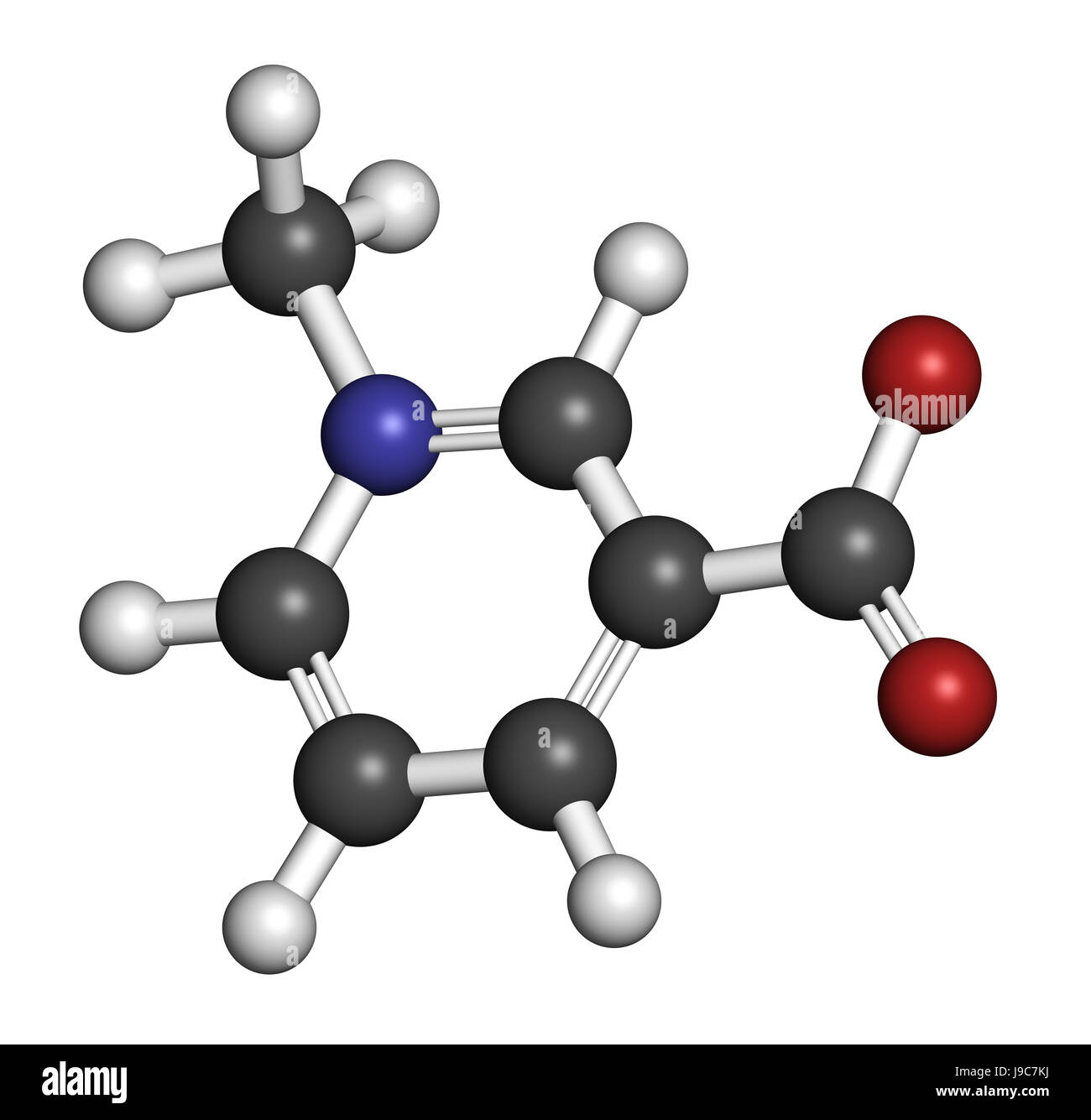 Trigonelline hi-res stock photography and images - Alamy