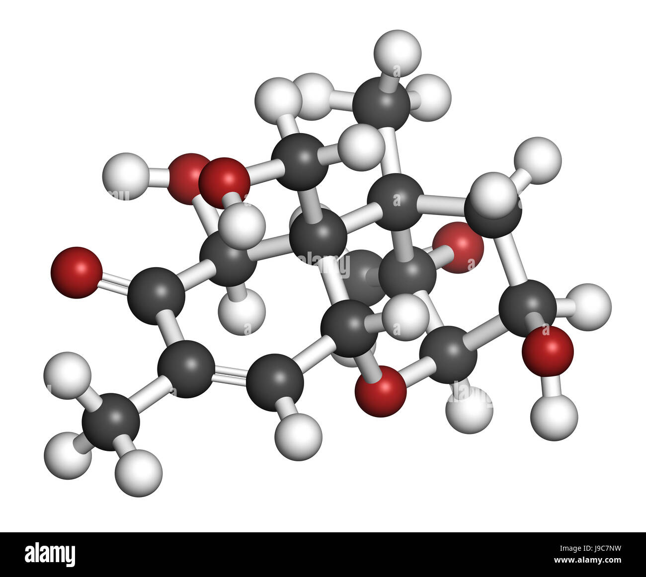 Vomitoxin (deoxynivalenol, DON) mycotoxin molecule. 3D rendering. Atoms ...