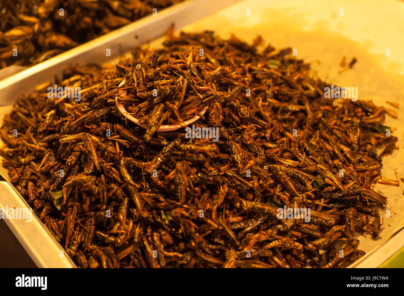 Crispy fried insects are regional delicacies in many Asian countries ...
