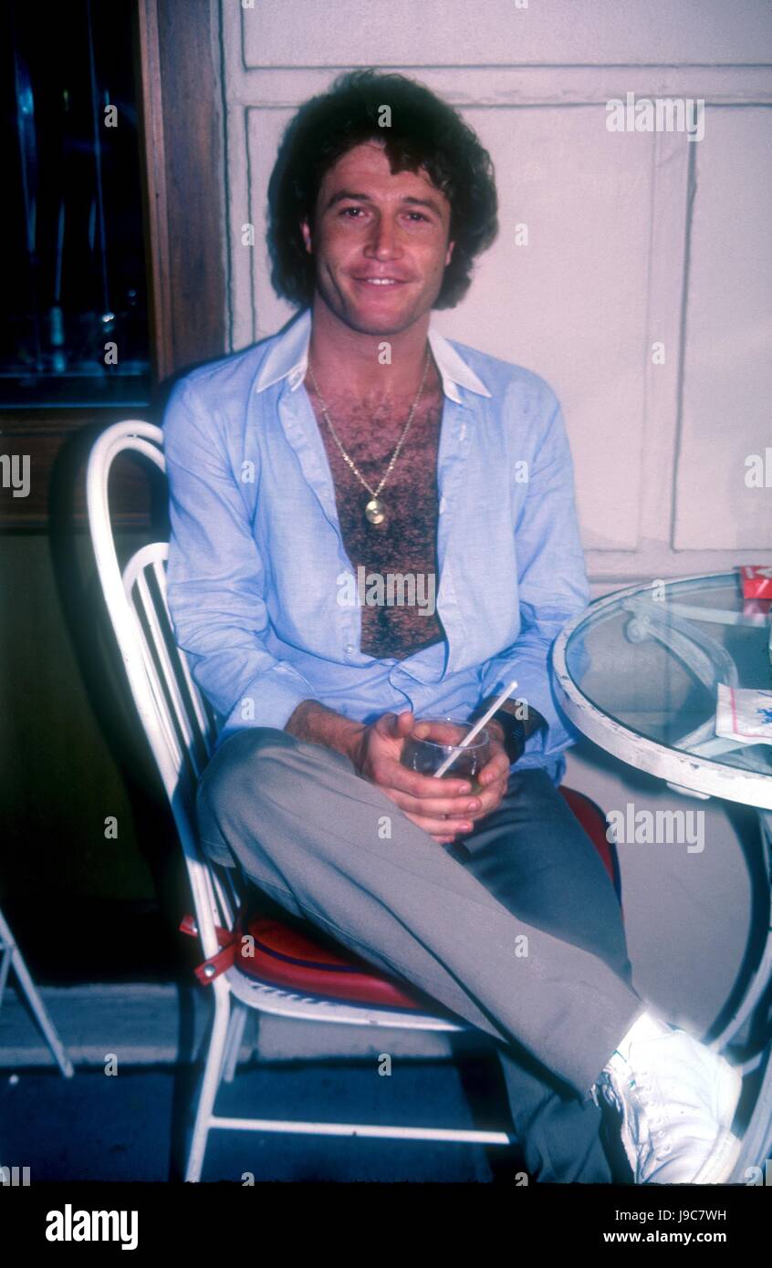 Andy Gibb 1988