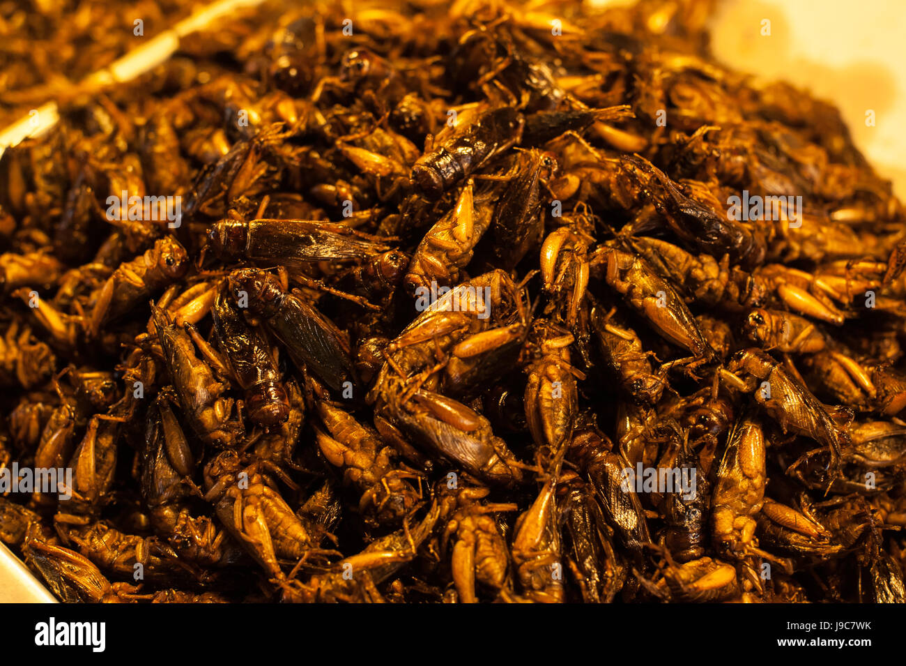 Crispy fried insects are regional delicacies in many Asian countries ...