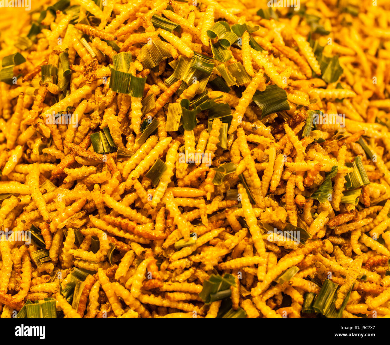 Bamboo Caterpillar fried food, as snack in Asia countries like Thailand ...