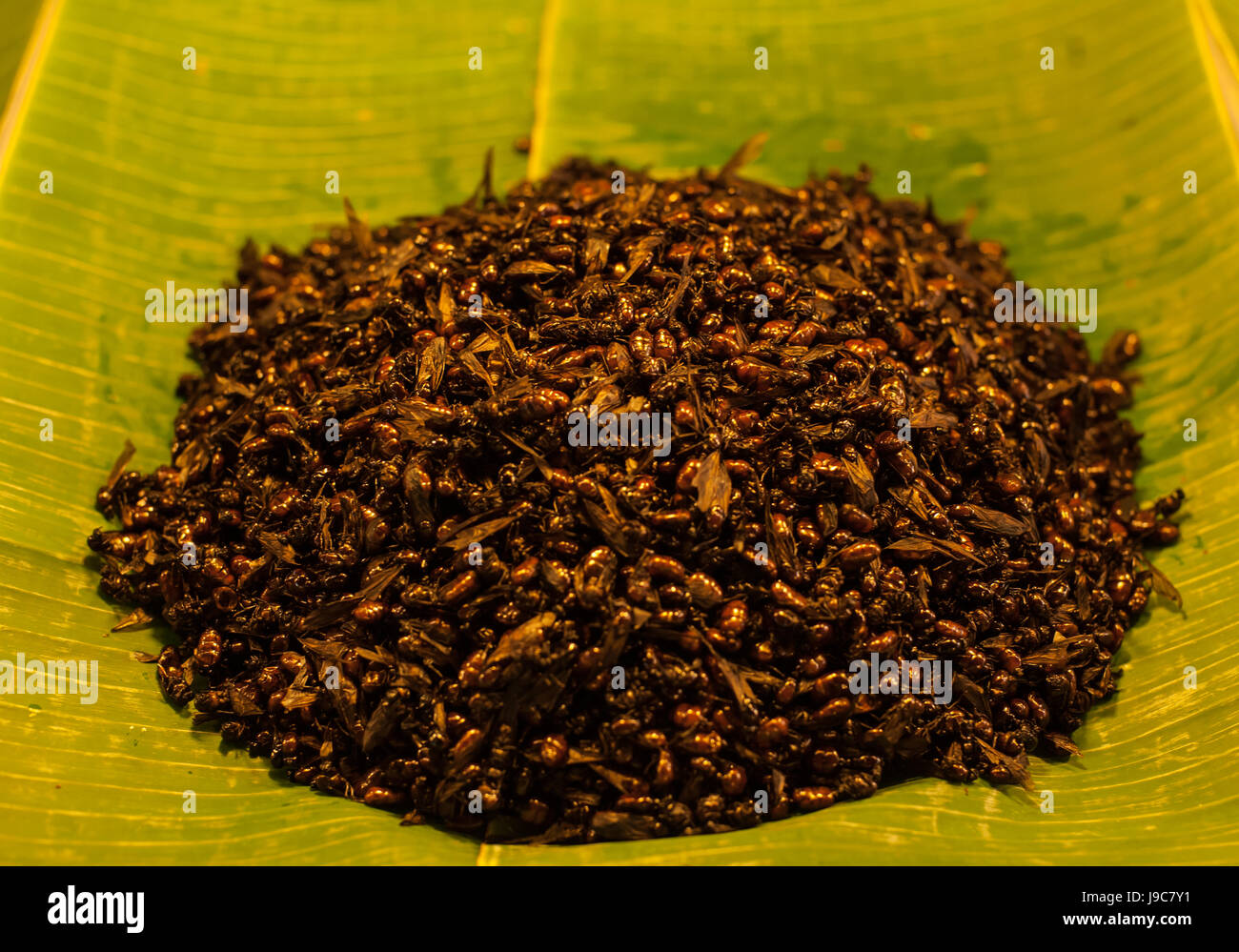 Crispy fried insects are regional delicacies in many Asian countries ...