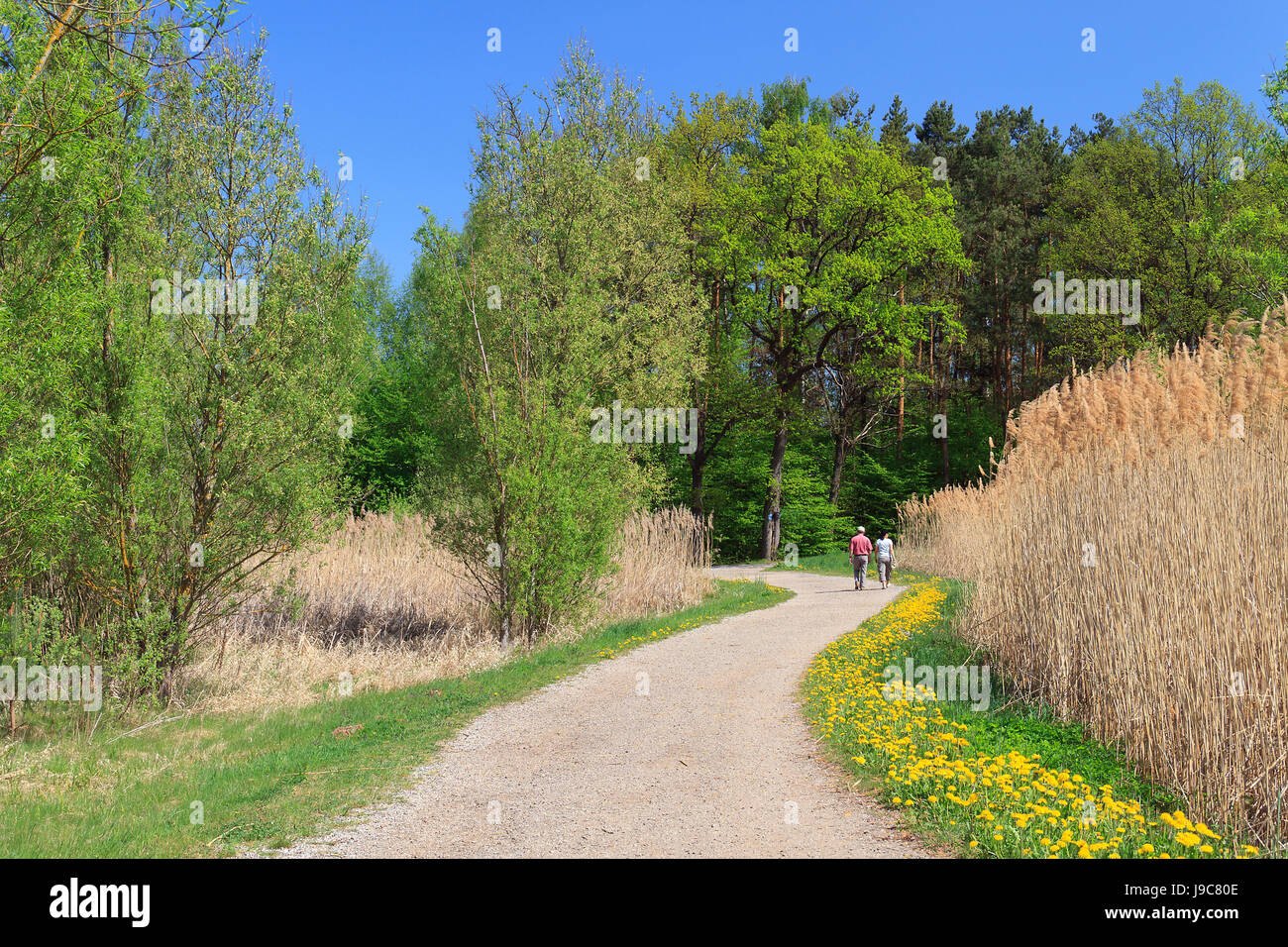 Rothsee hi-res stock photography and images - Alamy