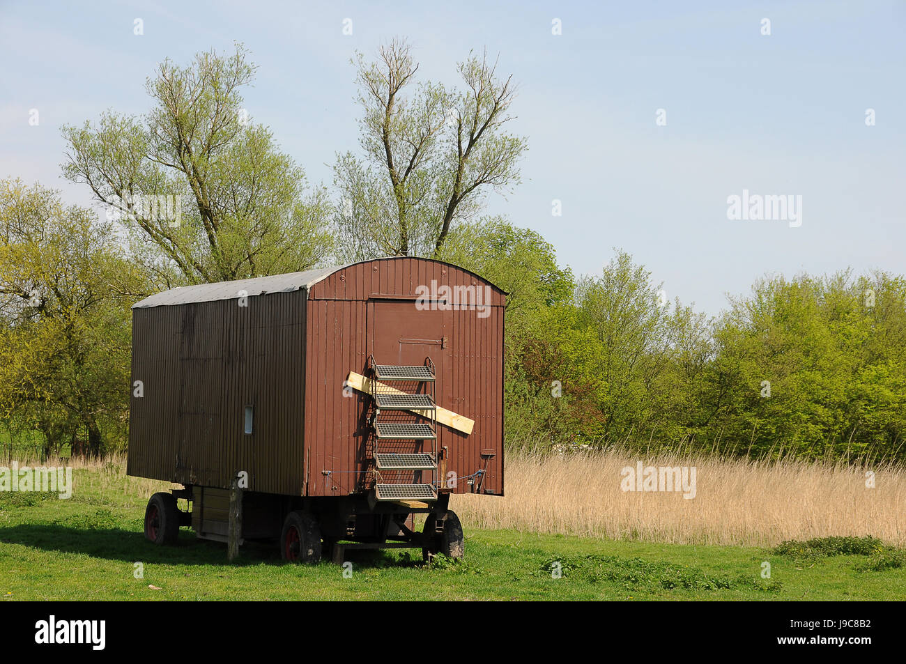 carriage, hovel, cart, age, elder, old, brown, brownish, brunette ...