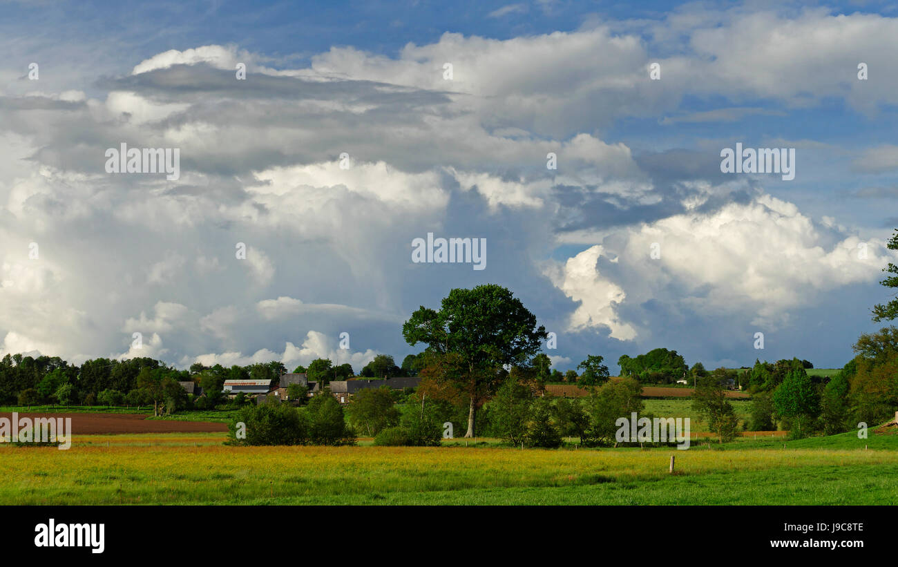 Countryside of the northern Mayenne in spring, grasslands and ...