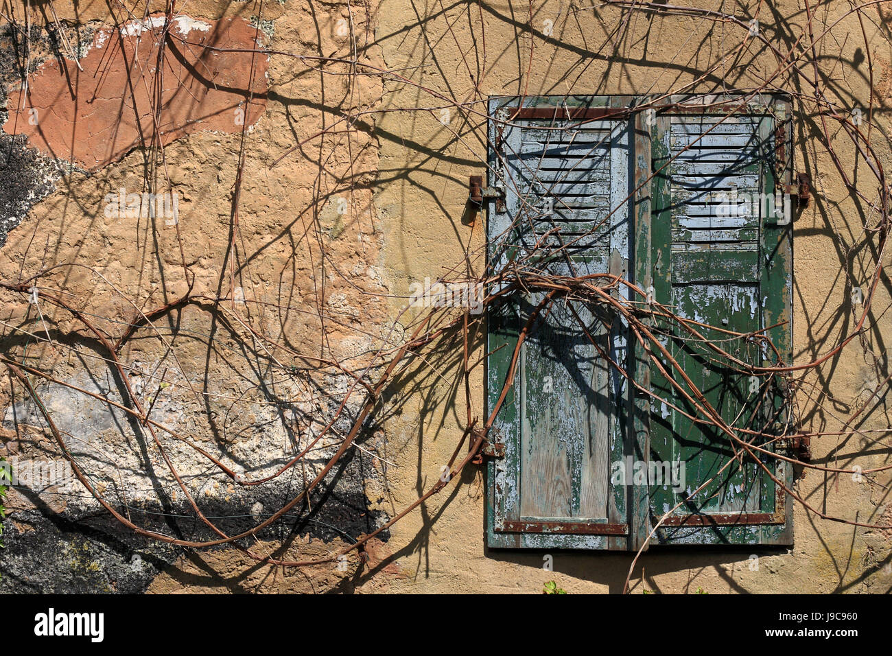 blank, uninhabited, light blue, house wall, overgrows, execrated ...