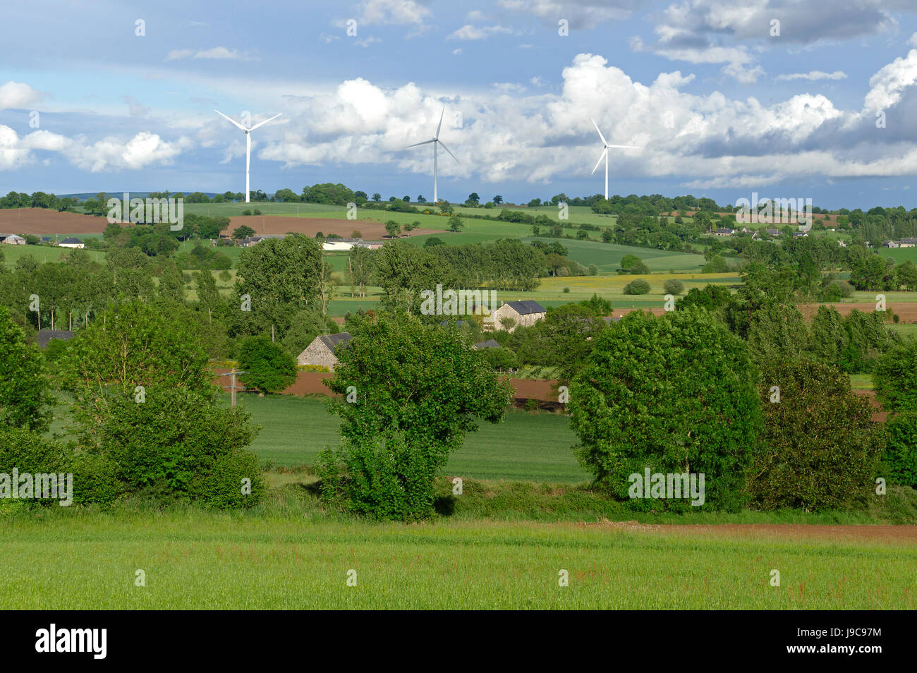 Countryside of the northern Mayenne in spring, grasslands and ...