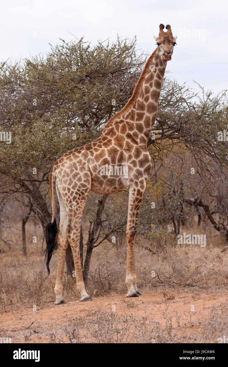 Hochfoto hi-res stock photography and images - Alamy