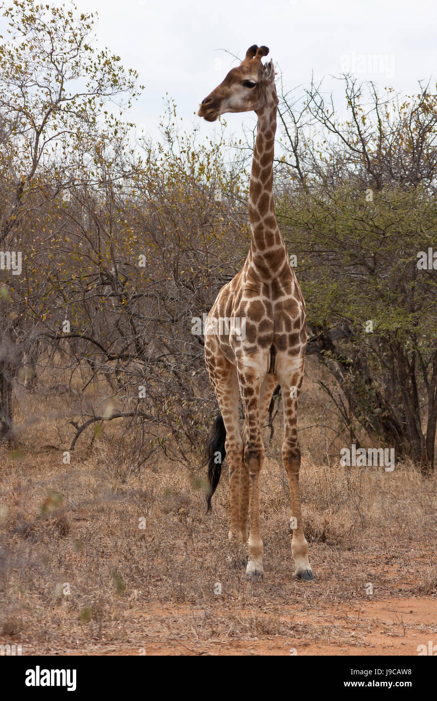 Hochfoto hi-res stock photography and images - Alamy