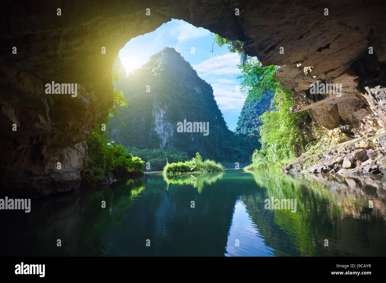 wild, jungle, tropical, fresh water, lake, inland water, water, nature ...