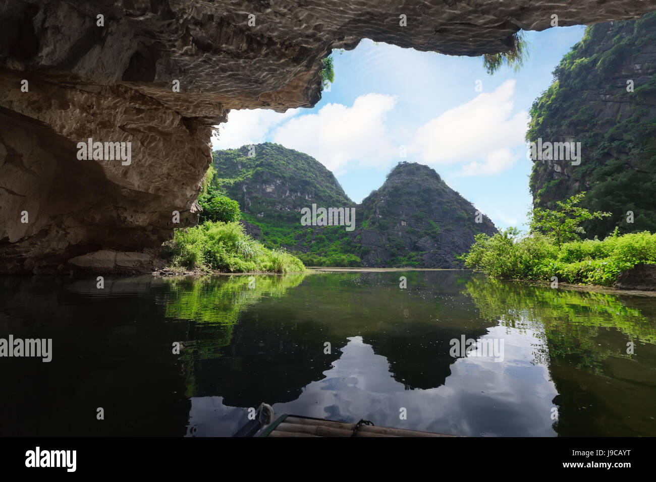 wild, jungle, tropical, fresh water, lake, inland water, water, nature ...