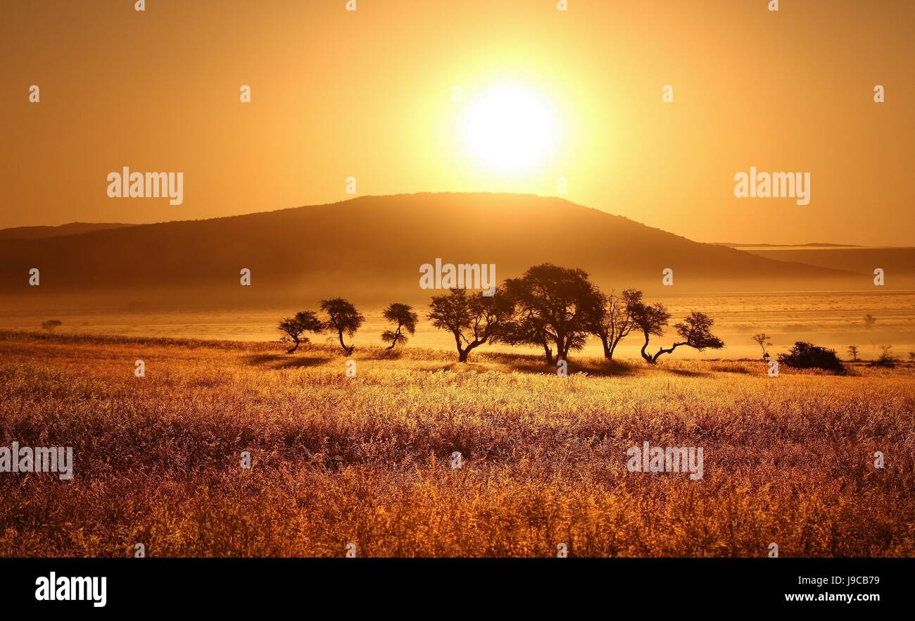 desert, wasteland, sunset, africa, namibia, sunrise, steppe, desert ...