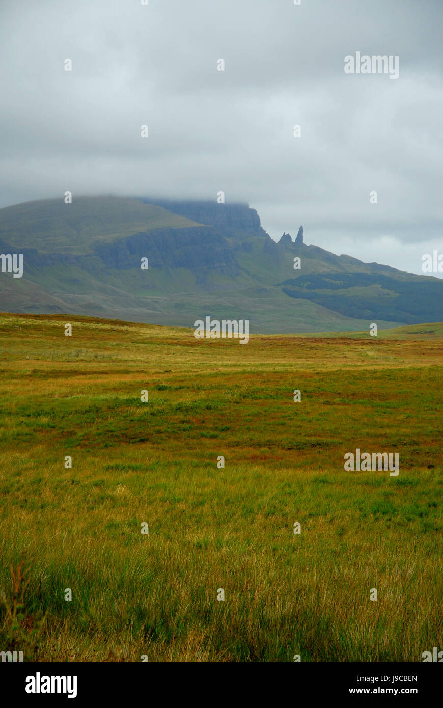scotland, level, mountain, meadow, grass, lawn, green, isle, island ...