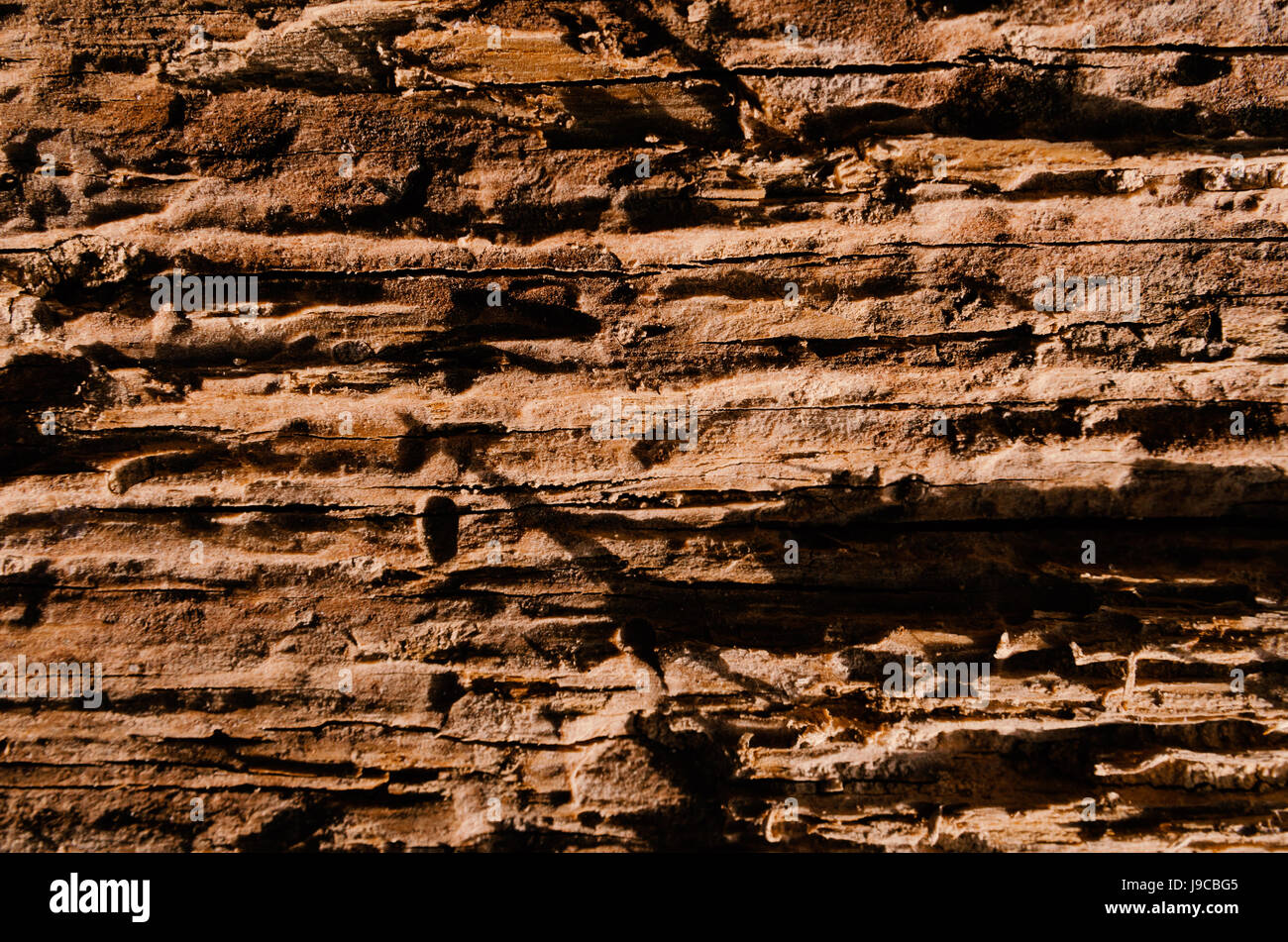 Loose texture of a rotten tree vertical background, shade of orange and ...