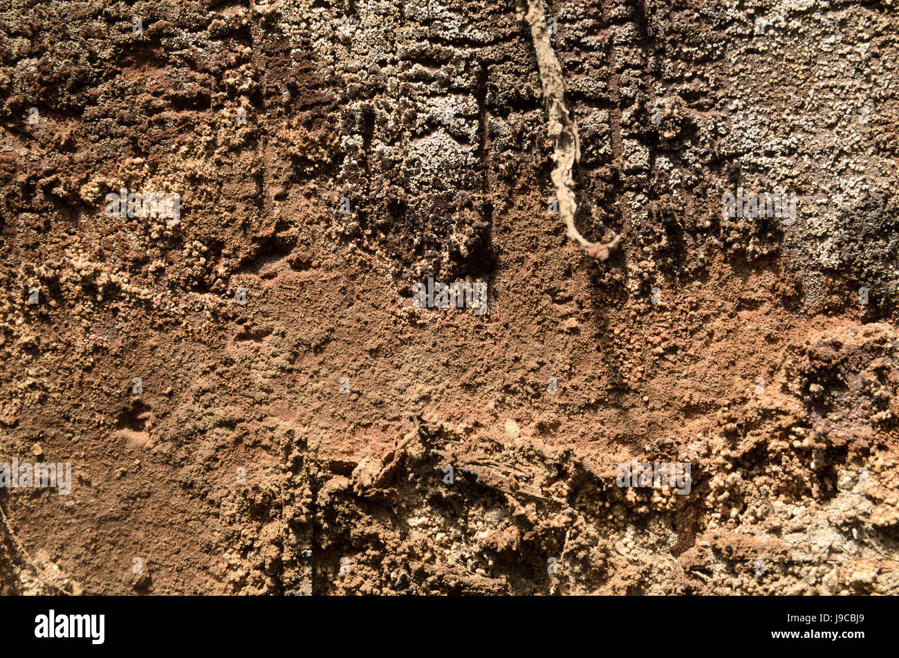 Clay texture, earth, daylight, brown Stock Photo - Alamy