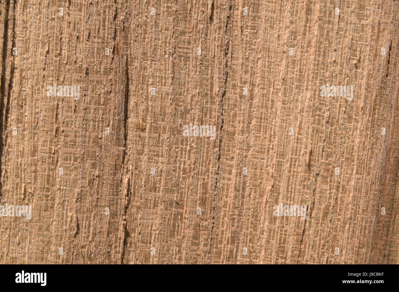 Line wood texture, brown with yellow tinge color Stock Photo - Alamy
