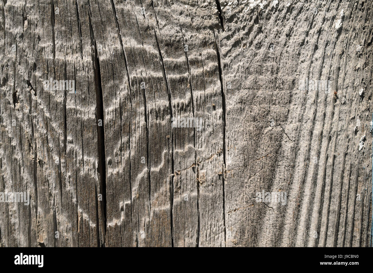 Wooden line texture. Surface of wood texture with natural pattern ...