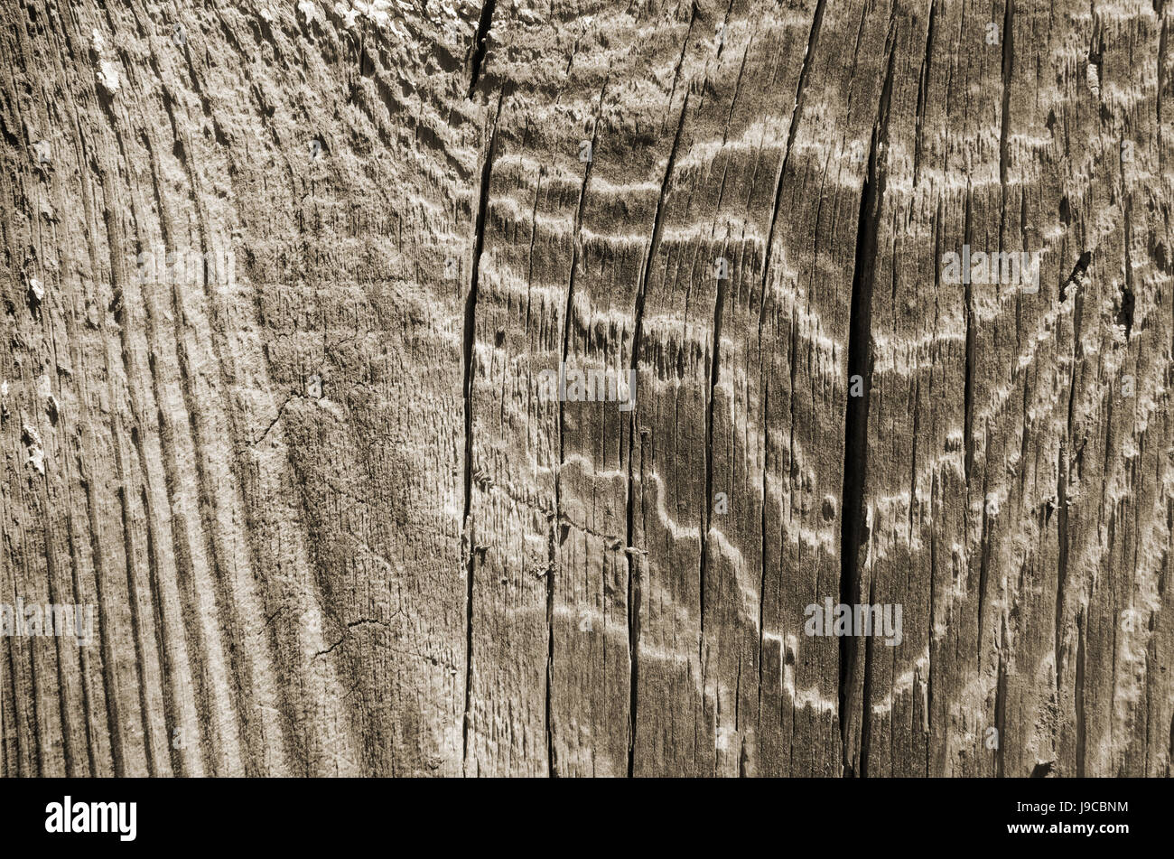 Wooden line texture. Surface of wood texture with natural pattern ...