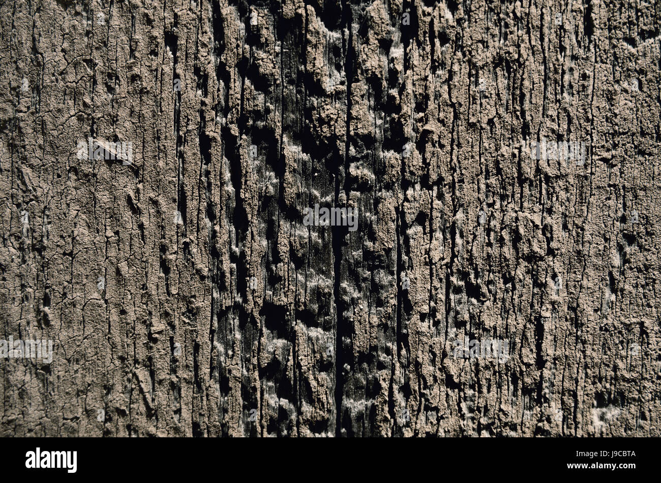 Texture of wooden lines. The surface of a tree with an old paint Stock ...
