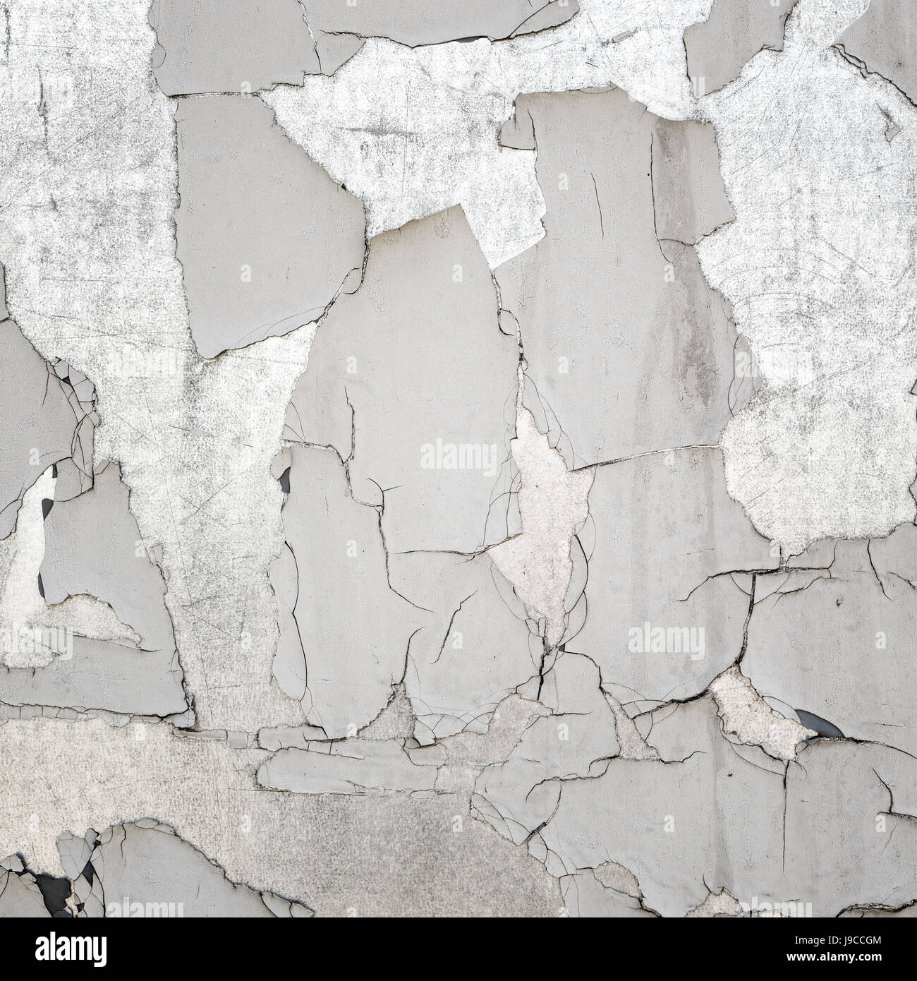 Metallic gray plaster wall wallpaper hi-res stock photography and ...