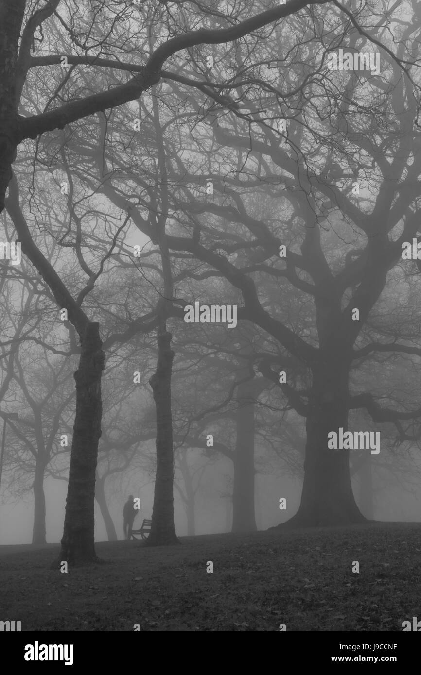 Gladstone england Black and White Stock Photos & Images - Alamy