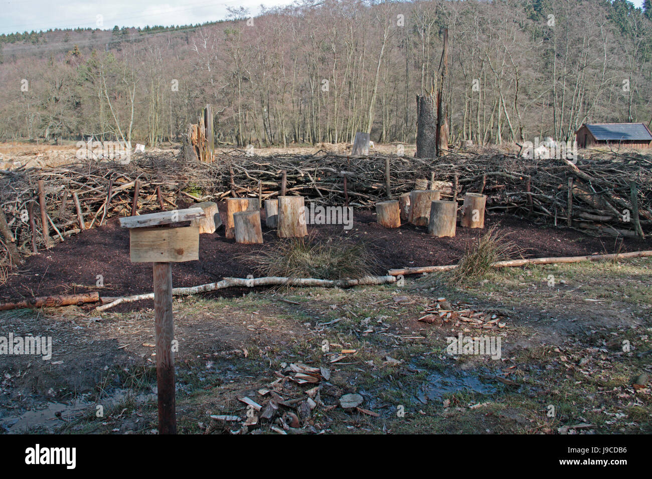 wood, stacked, deforestation, forest, tree, wood, stack, firewood Stock ...