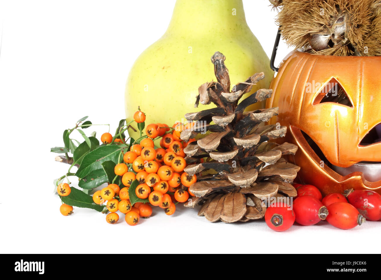 flower, rose, plant, shiner, light, lamp, luminary, cone, hip, quince ...