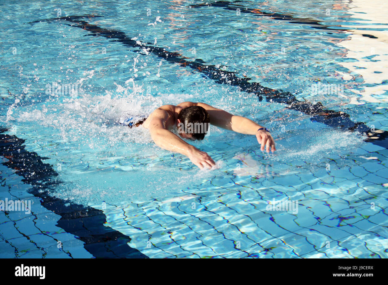 Butterfly swims hi-res stock photography and images - Alamy