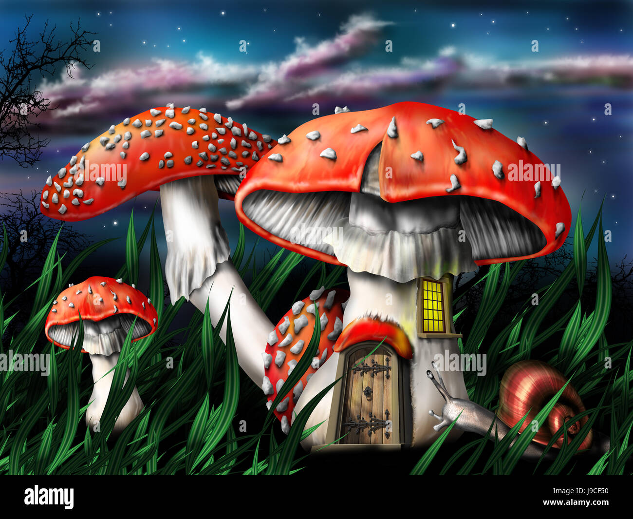 fly agaric, poison, mushroom, fungus, magic, toadstool, toxic ...