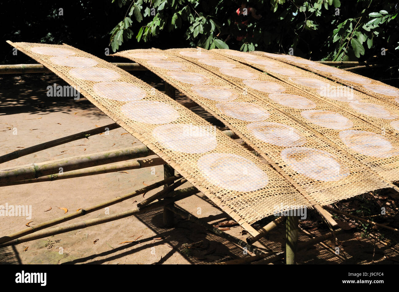 rice paper drying Stock Photo - Alamy