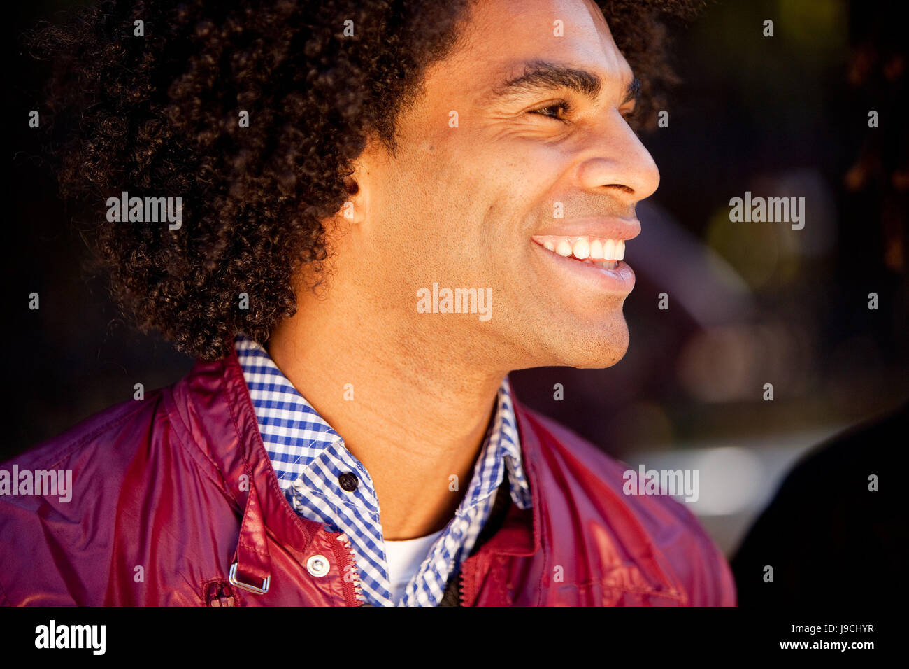 profile, humans, human beings, people, folk, persons, human, human ...