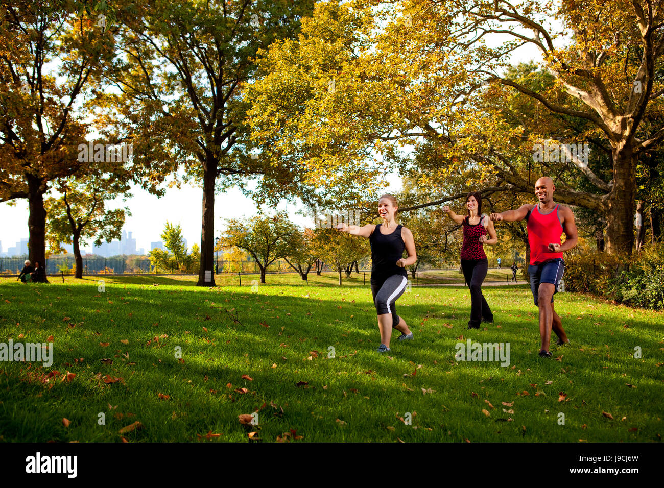 woman, humans, human beings, people, folk, persons, human, human being ...