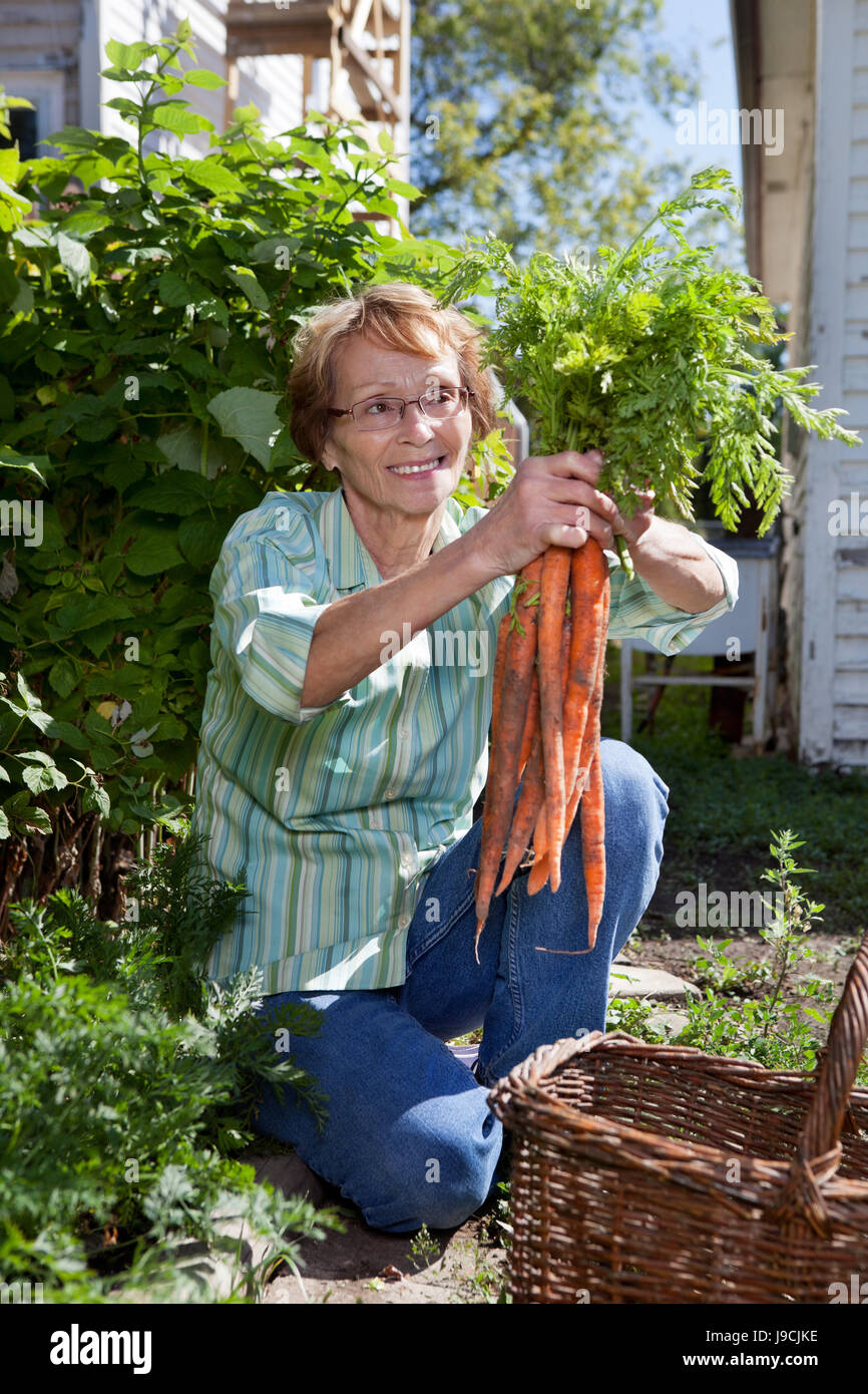 woman, pick, humans, human beings, people, folk, persons, human, human ...