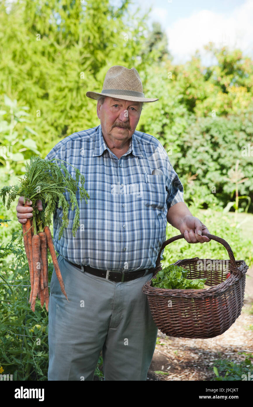 pick, humans, human beings, people, folk, persons, human, human being ...