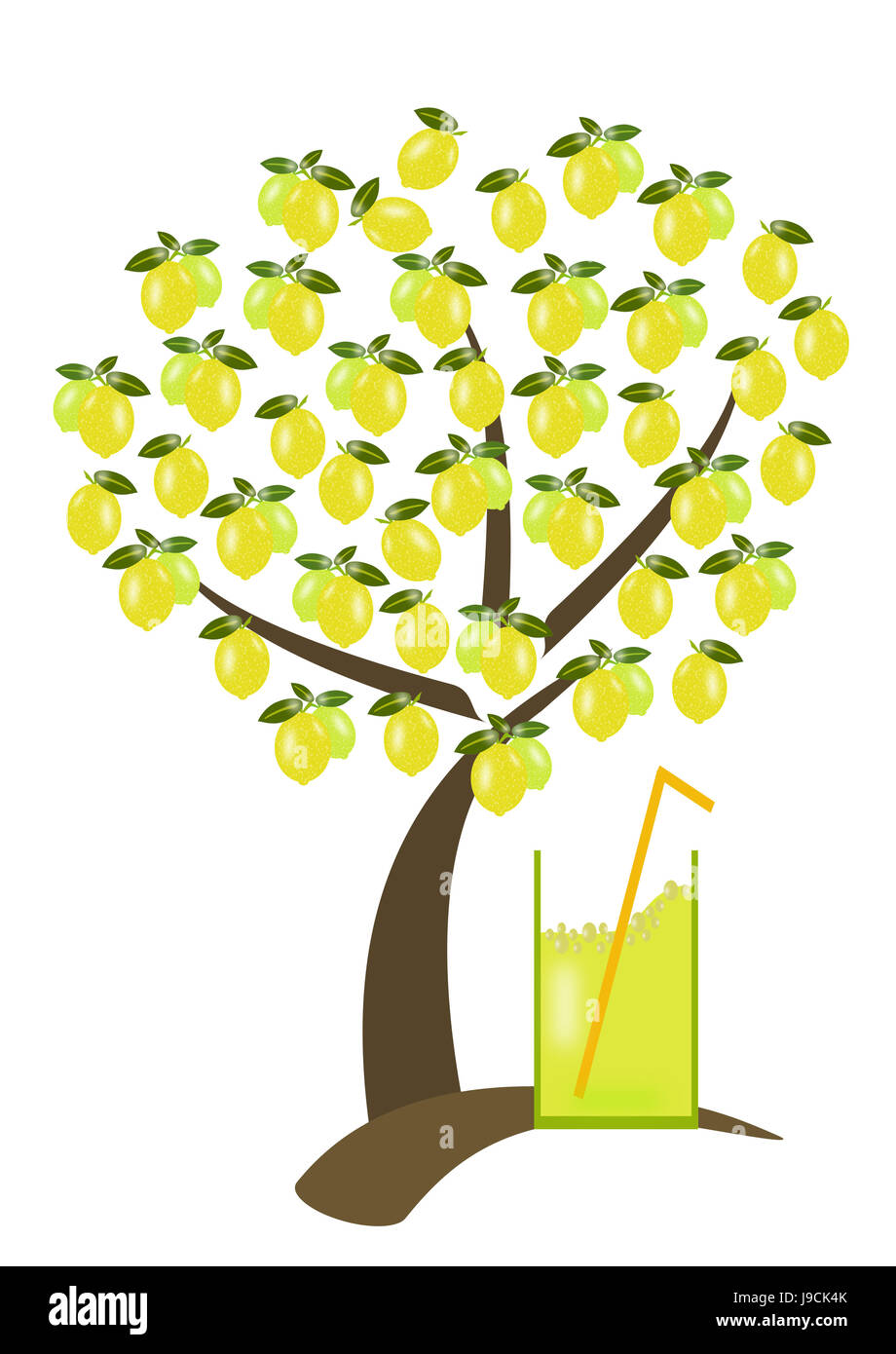 leaf, drink, drinking, bibs, liquid, firm, firmly, tree, trees, leaves ...