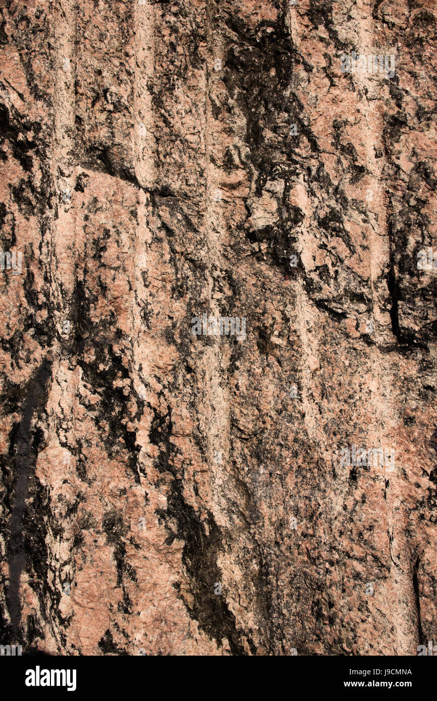 front view, backgrounds, mountain, backdrop, background, nature ...