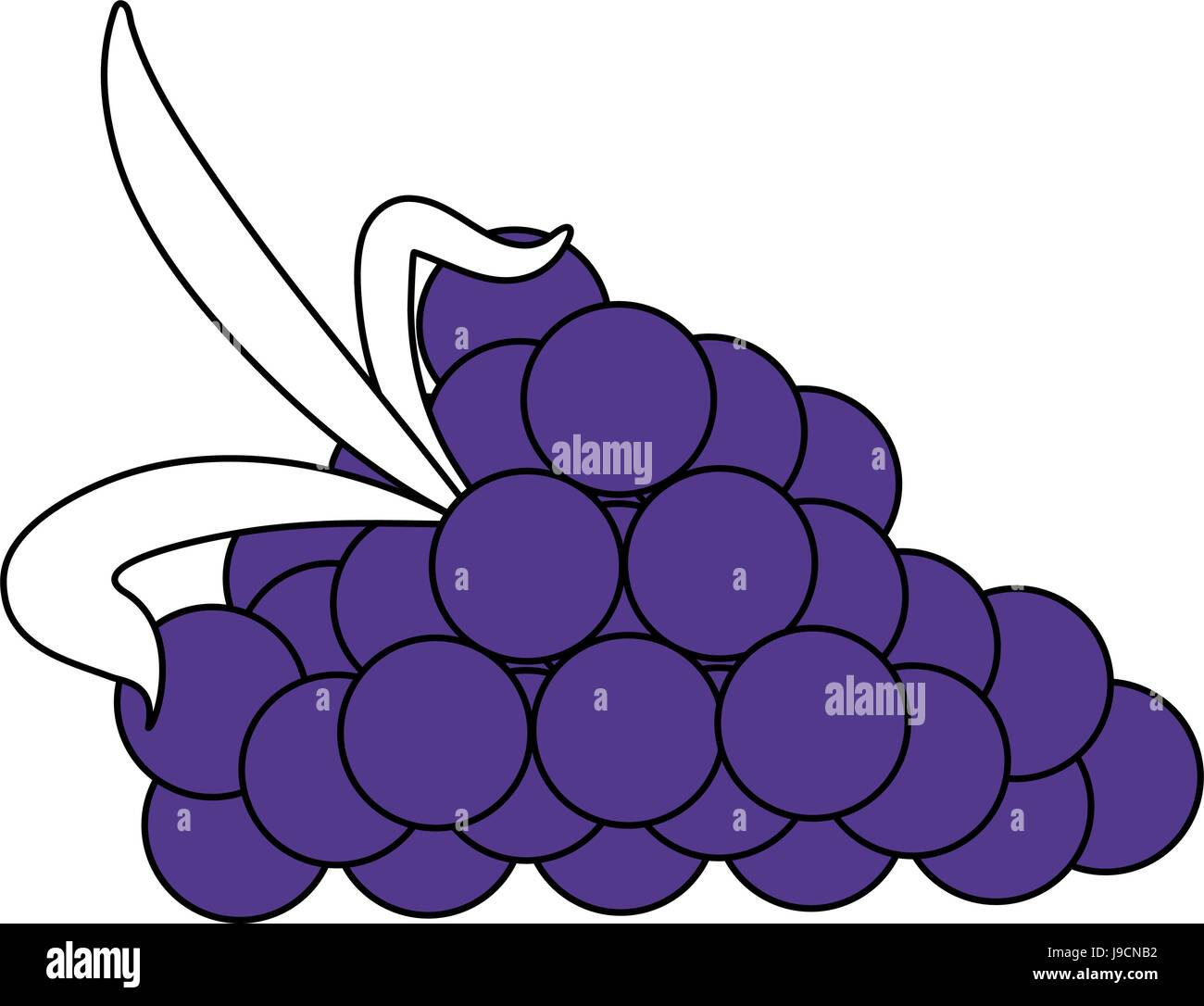 fruits shadow illustration Stock Vector Image & Art - Alamy