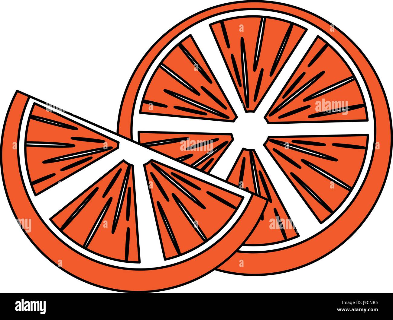 fruits shadow illustration Stock Vector Image & Art - Alamy