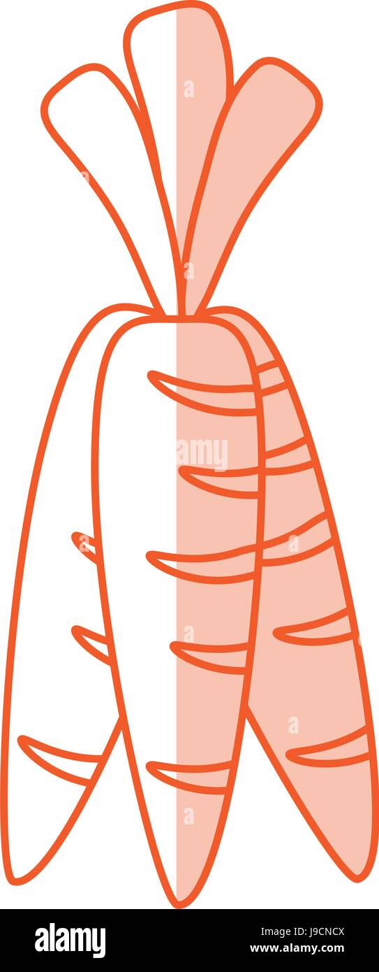 vegetables shadow illustration Stock Vector Image & Art - Alamy