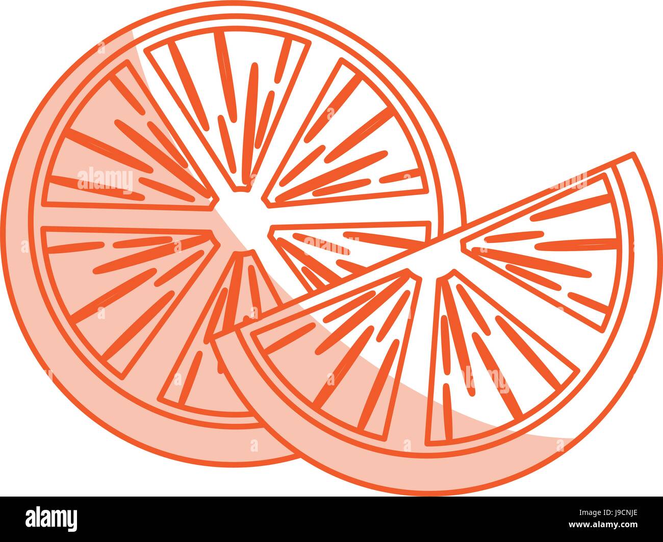 fruits shadow illustration Stock Vector Image & Art - Alamy