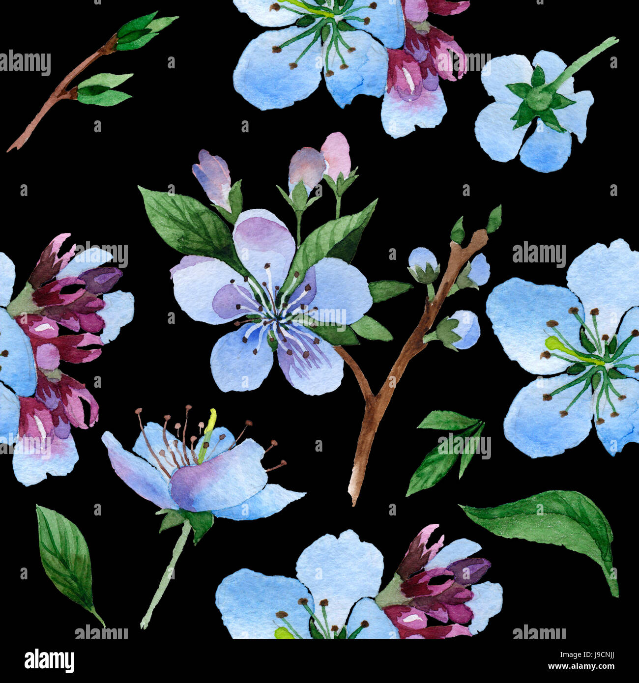 Wildflower cherry flower pattern in a watercolor style isolated Stock ...