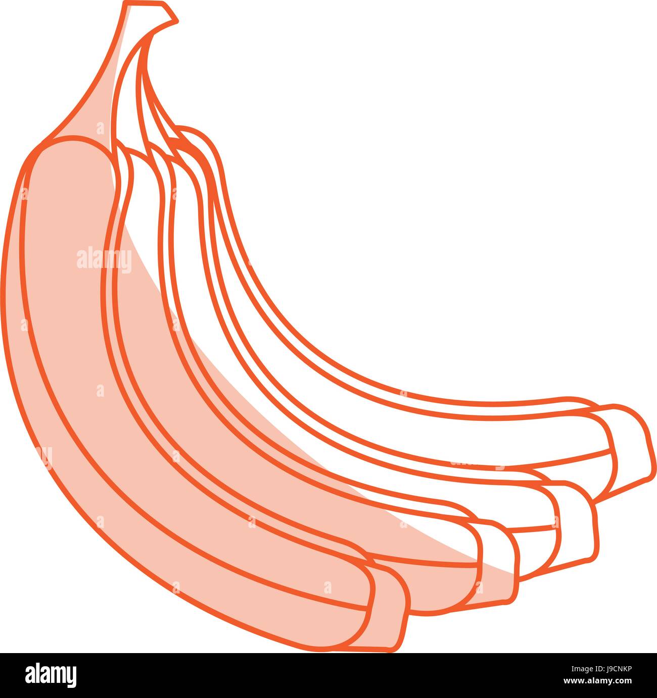 fruits shadow illustration Stock Vector Image & Art - Alamy