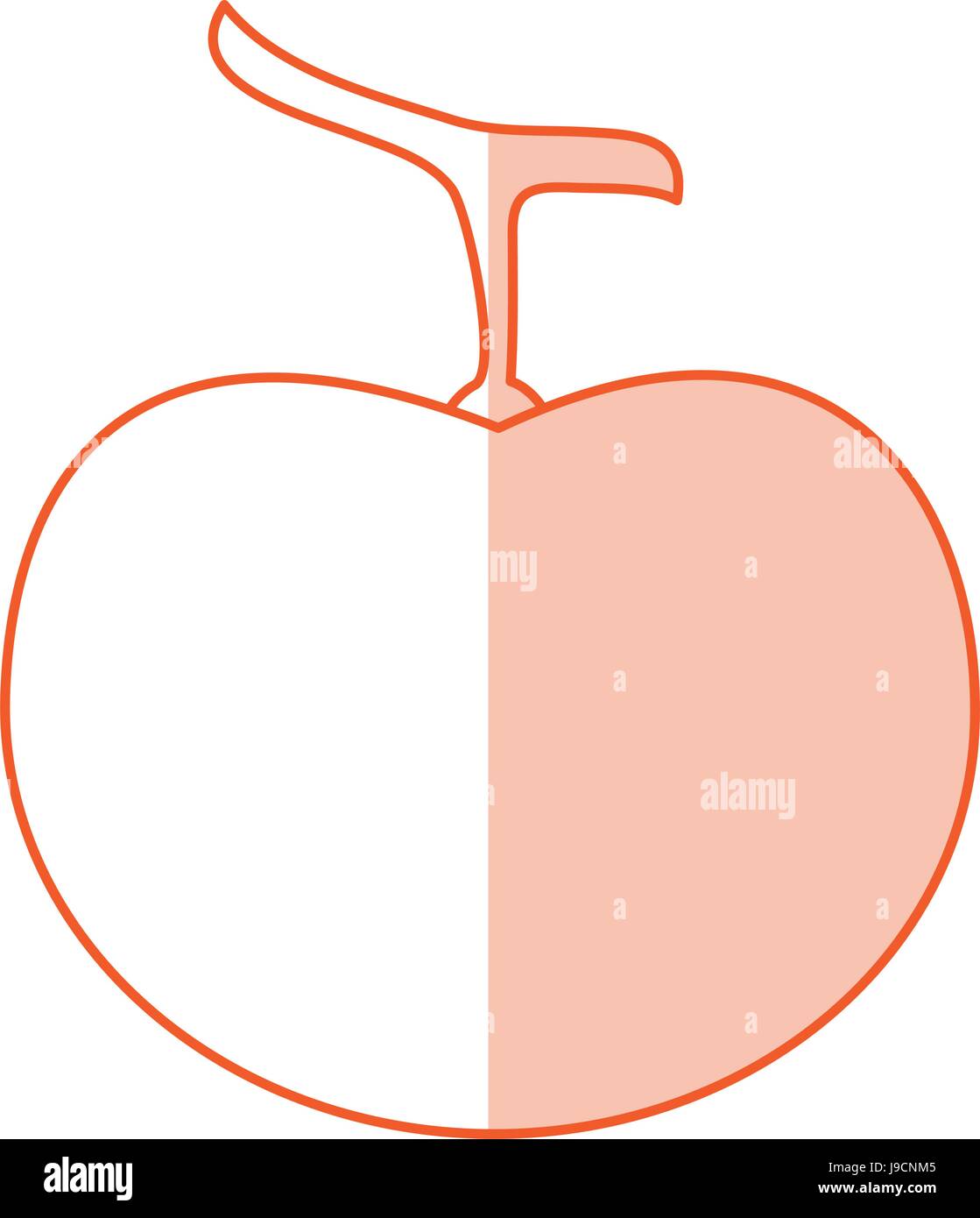 vegetables shadow illustration Stock Vector Image & Art - Alamy